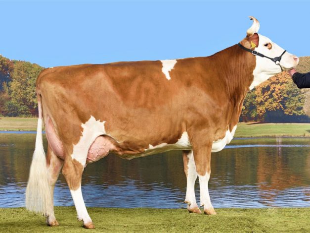 Tombolo Nedir? Nasıl Oluşur?